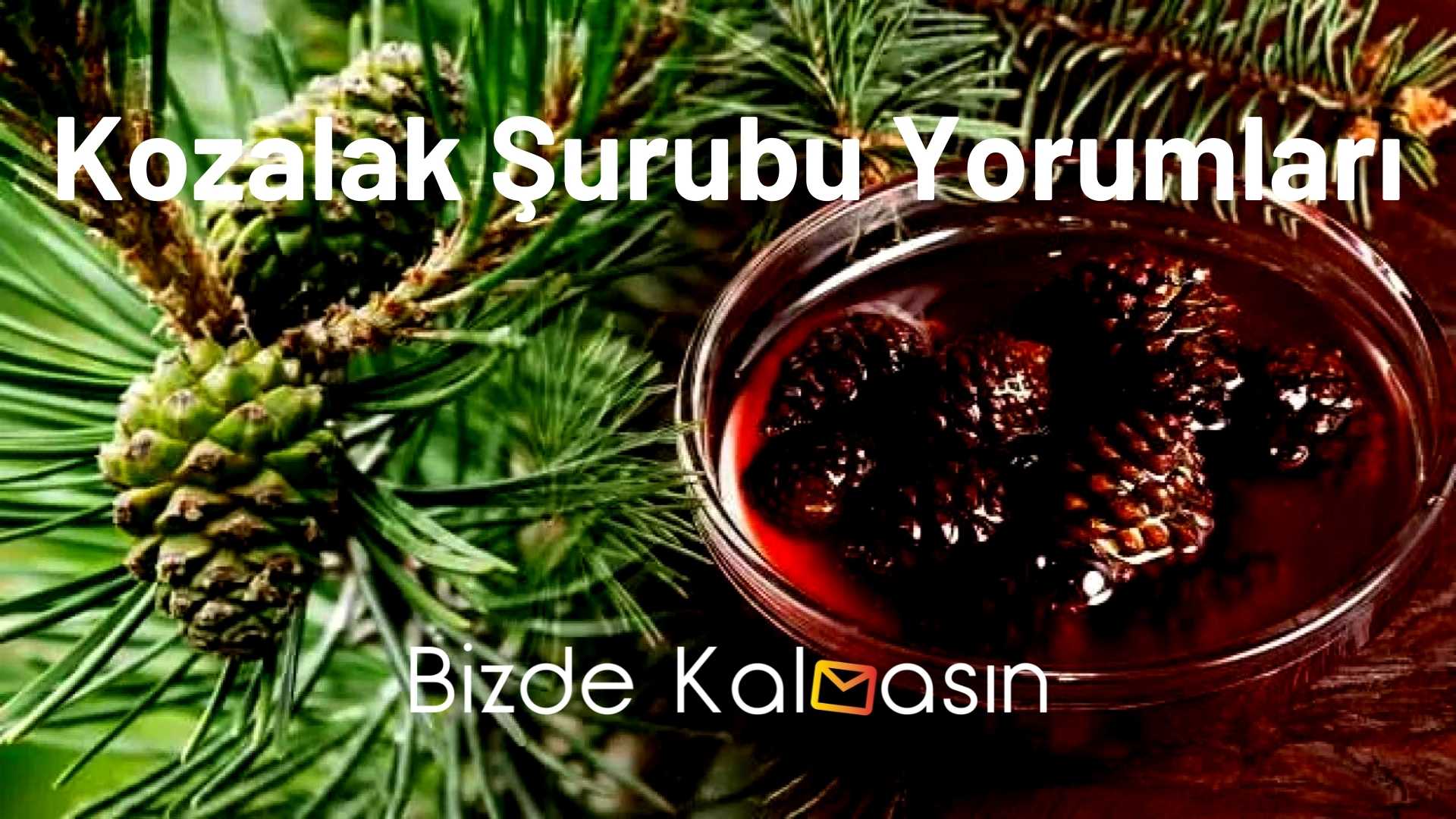 Kozalak Şurubu Kullananlar Yorumları - Bizde Kalmasın